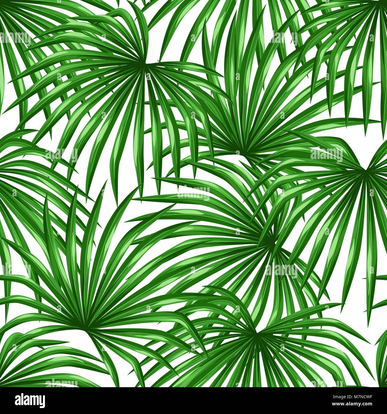 Tropical Leaf Patterns