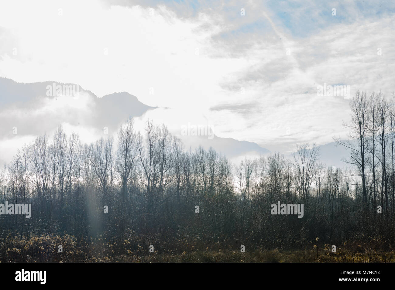 Winter in the Savoy Area in Southern France Stock Photo - Alamy