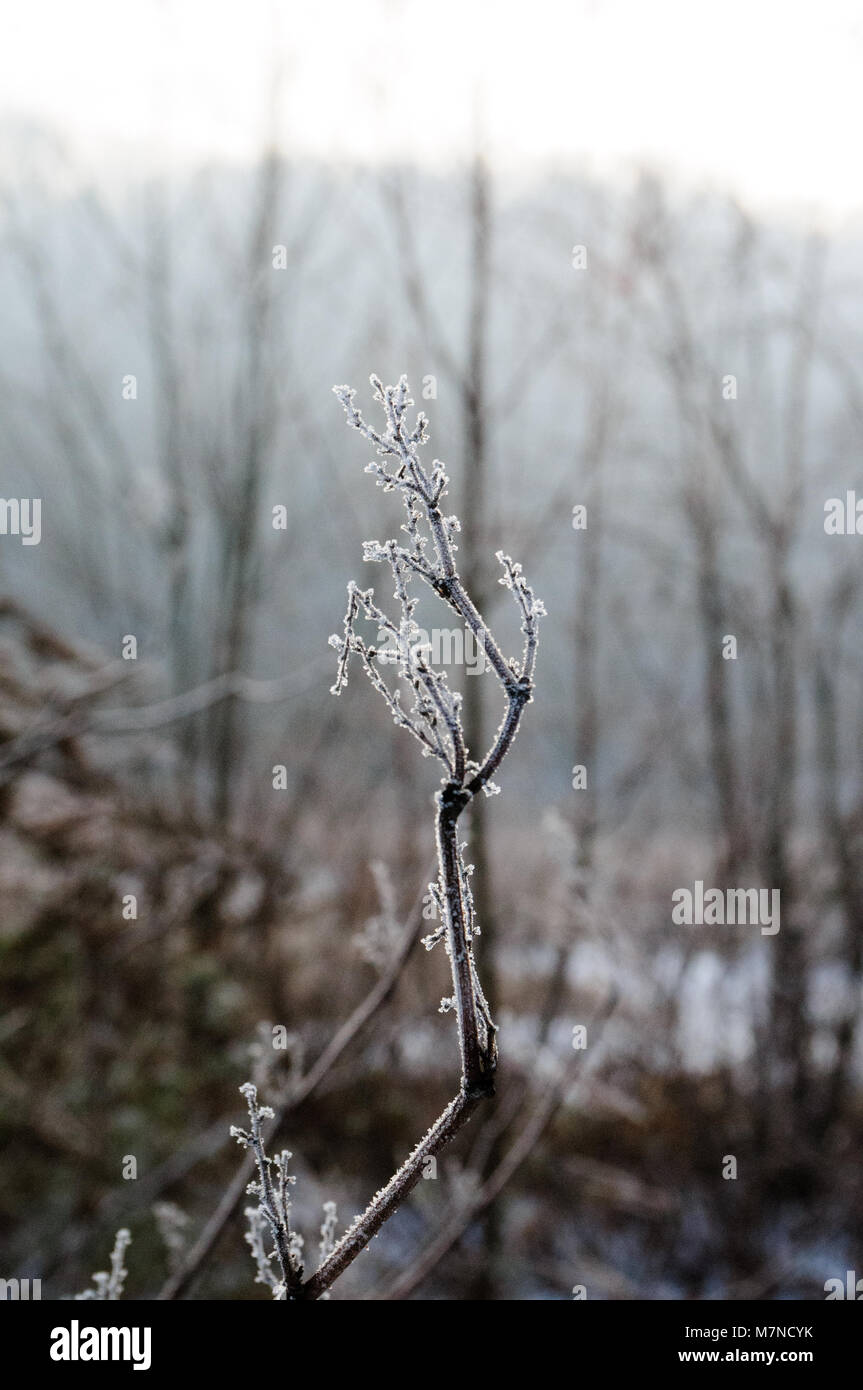 Winter in the Savoy Area in Southern France Stock Photo - Alamy