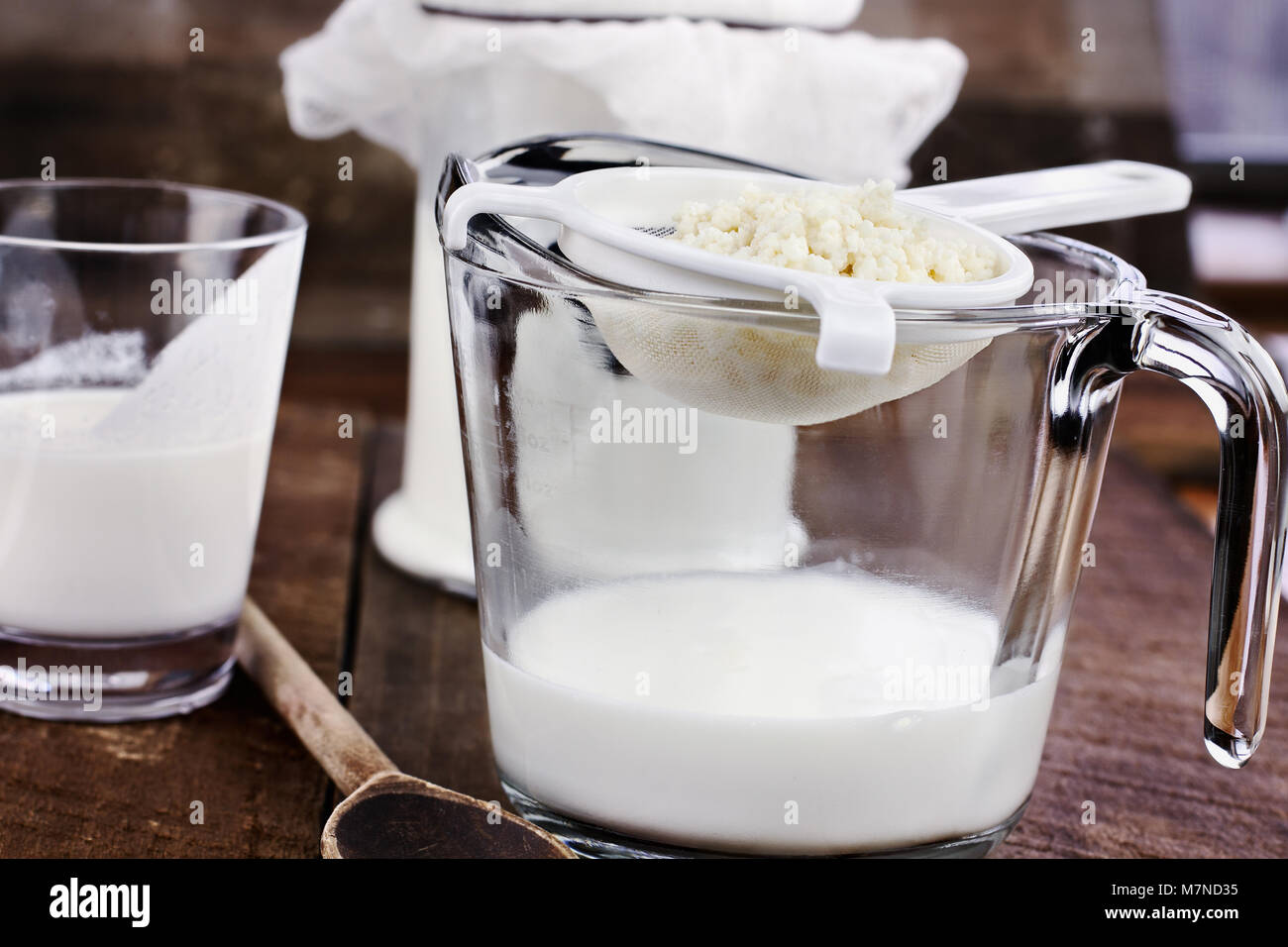 Straining milk from Kefir grains. Kefir is one of the top health foods ...