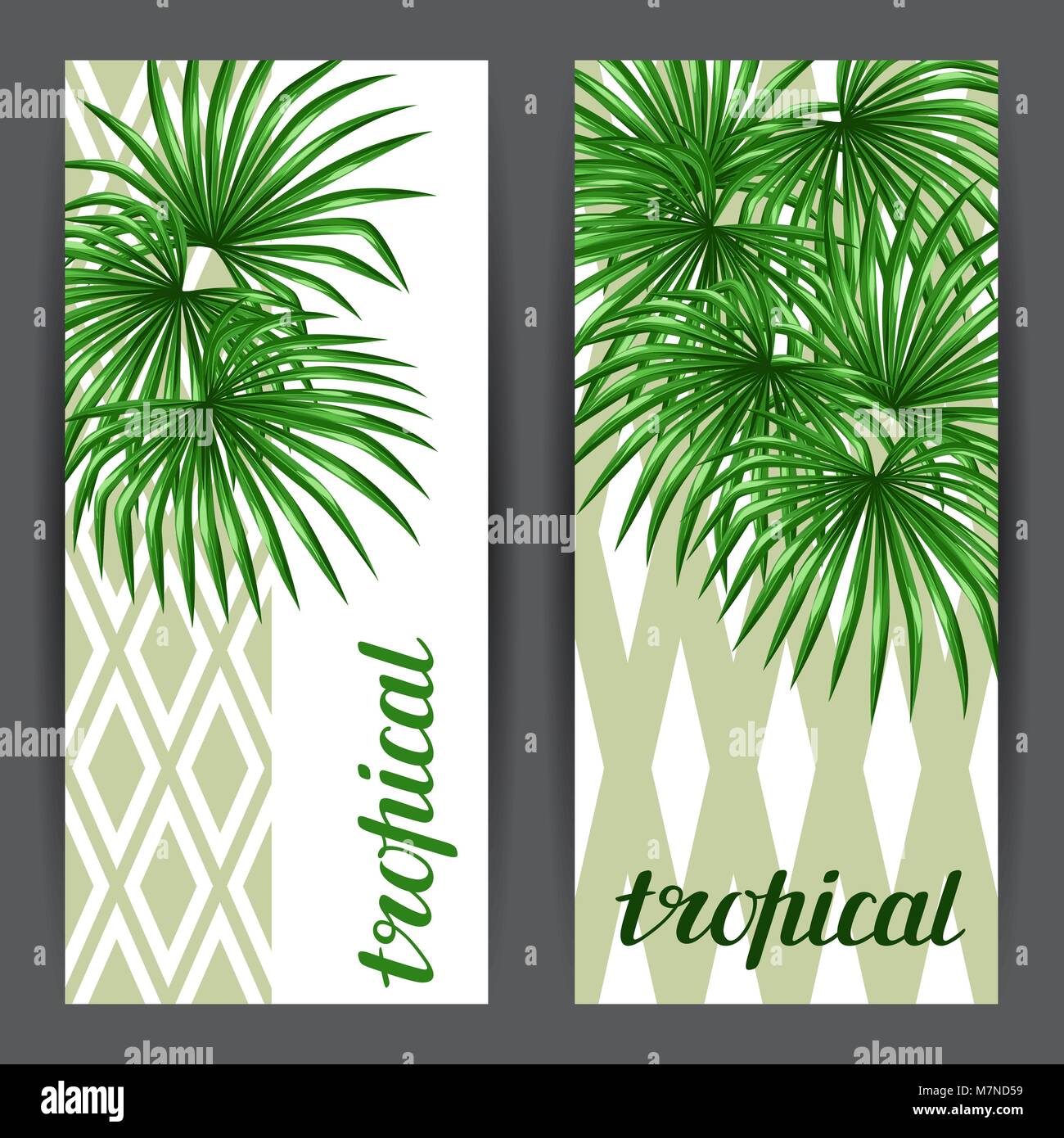 Hand natural tropical leaf Stock Vector Images - Alamy