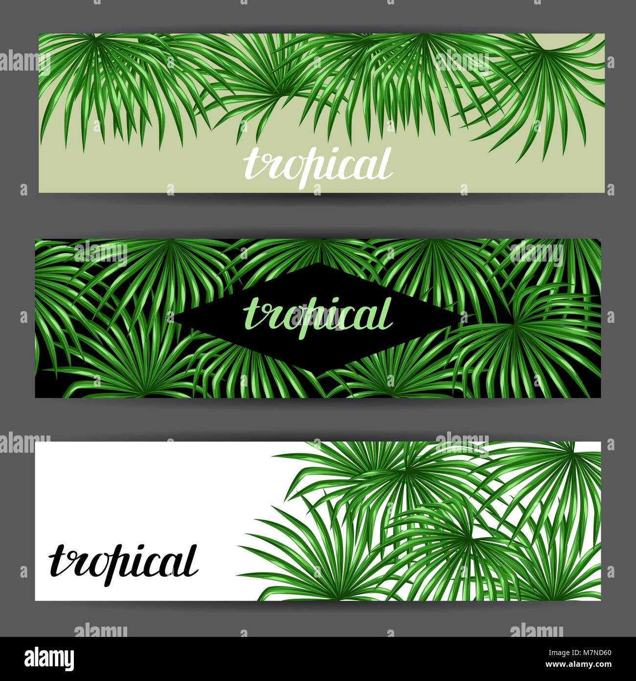 Banners with palms leaves. Decorative image tropical leaf of palm tree ...
