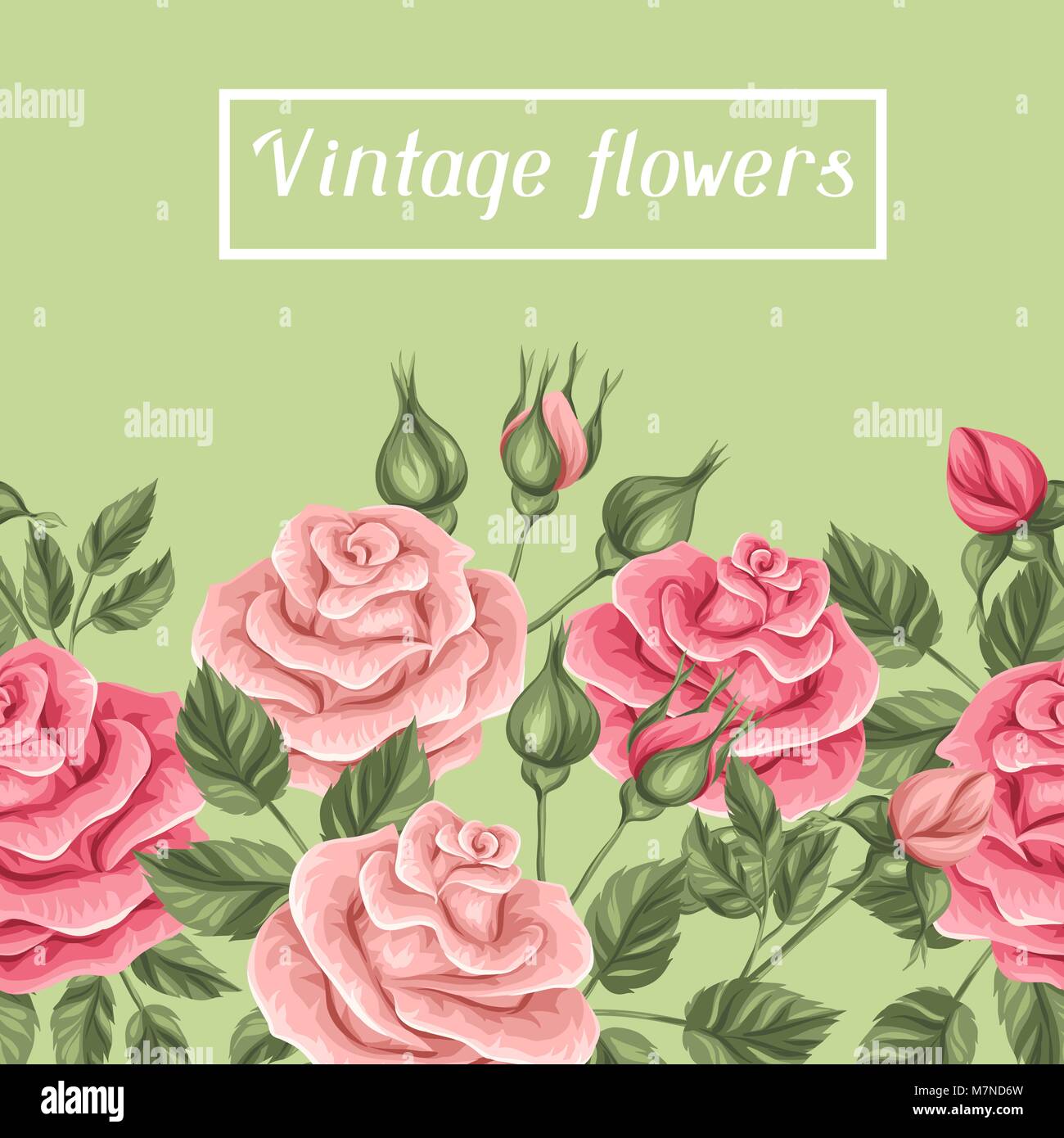 Seamless border with vintage roses. Decorative retro flowers. Easy to ...