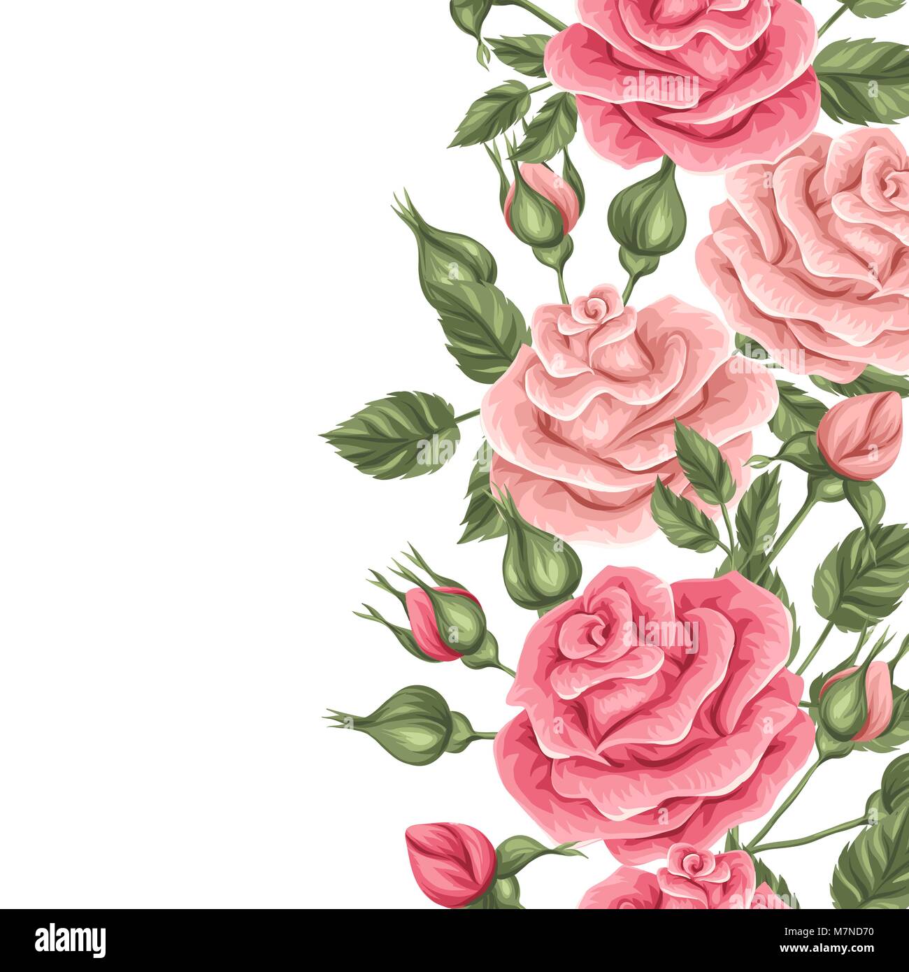Vintage Roses Border