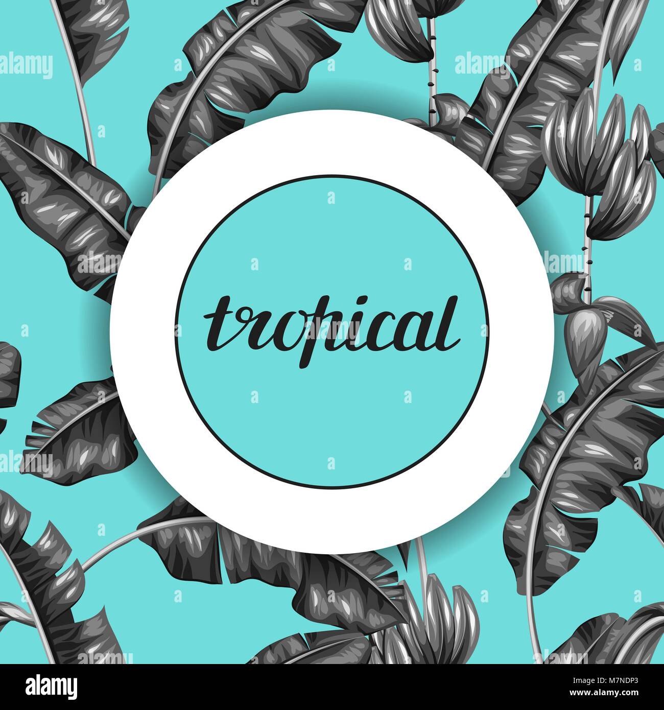 Banana tree fruit Stock Vector Images - Alamy