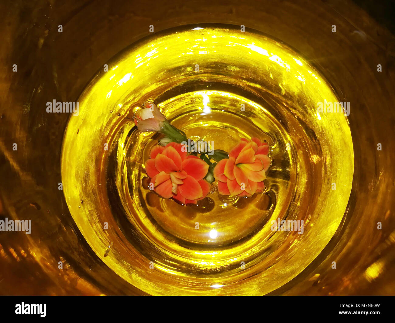 Colorful flowers in glass beaker Stock Photo - Alamy