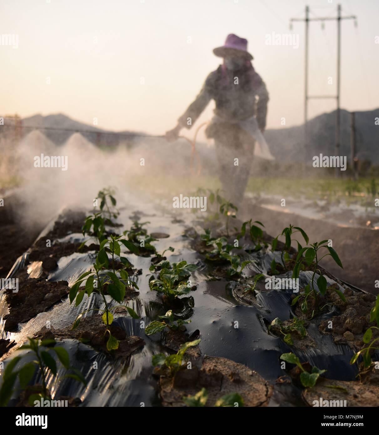 Qiandongnan, China's Guizhou Province. 10th Mar, 2018. A farmer waters ...