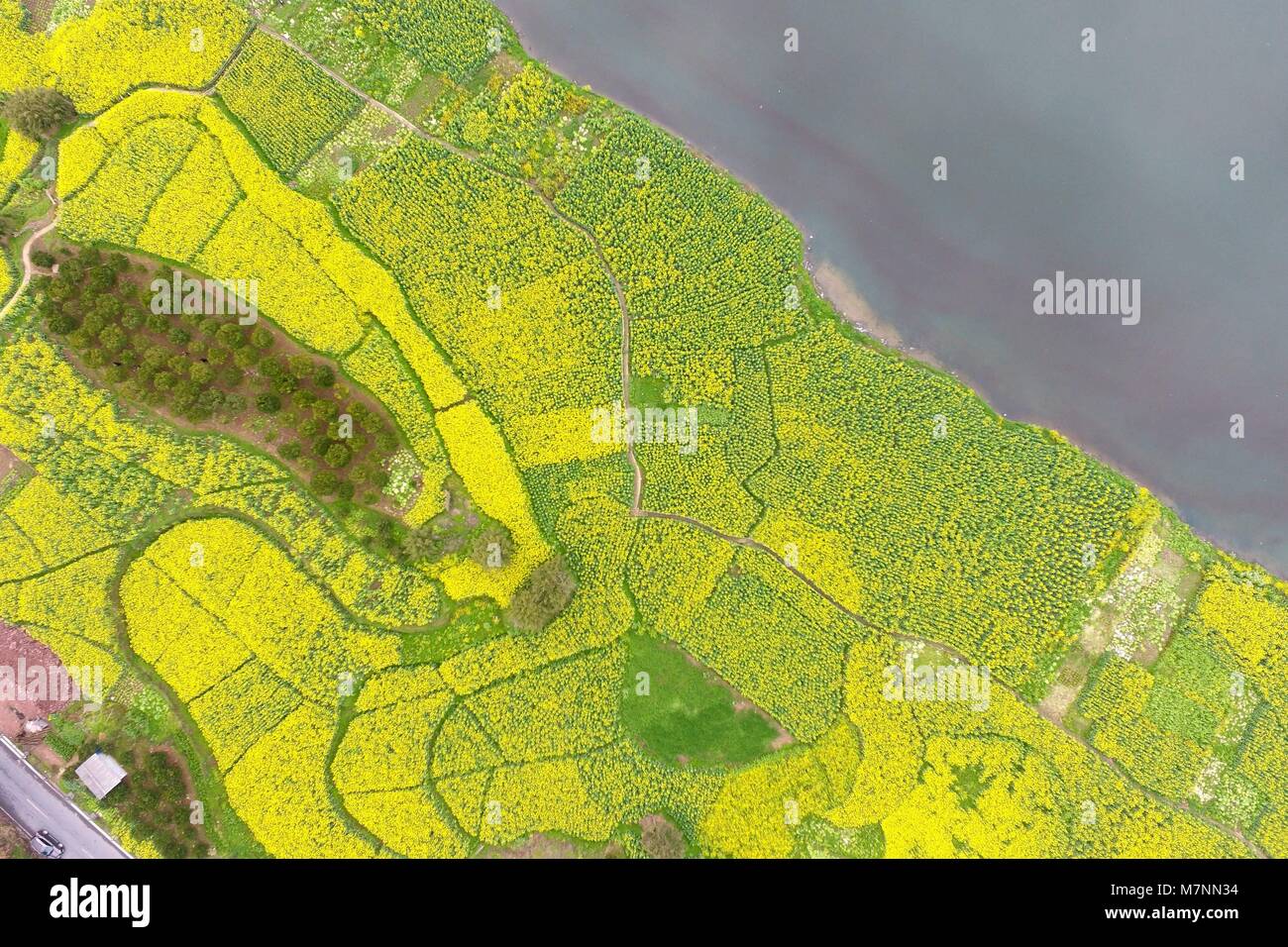 Xiangxi, Xiangxi, China. 12th Mar, 2018. Xiangxi, CHINA-12th March 2018 ...