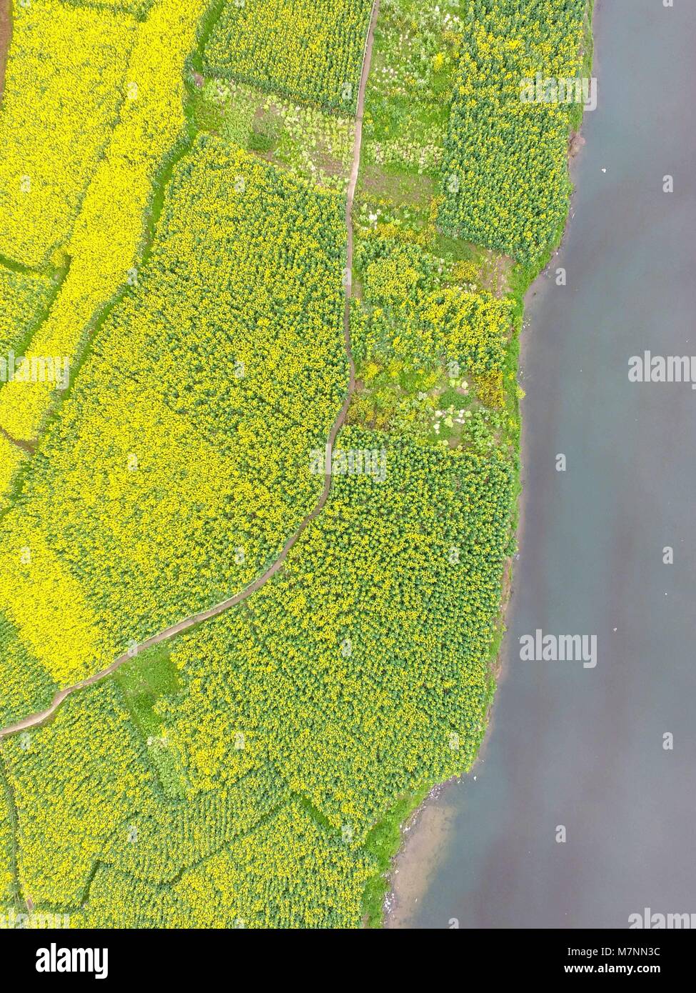 Xiangxi, Xiangxi, China. 12th Mar, 2018. Xiangxi, CHINA-12th March 2018 ...