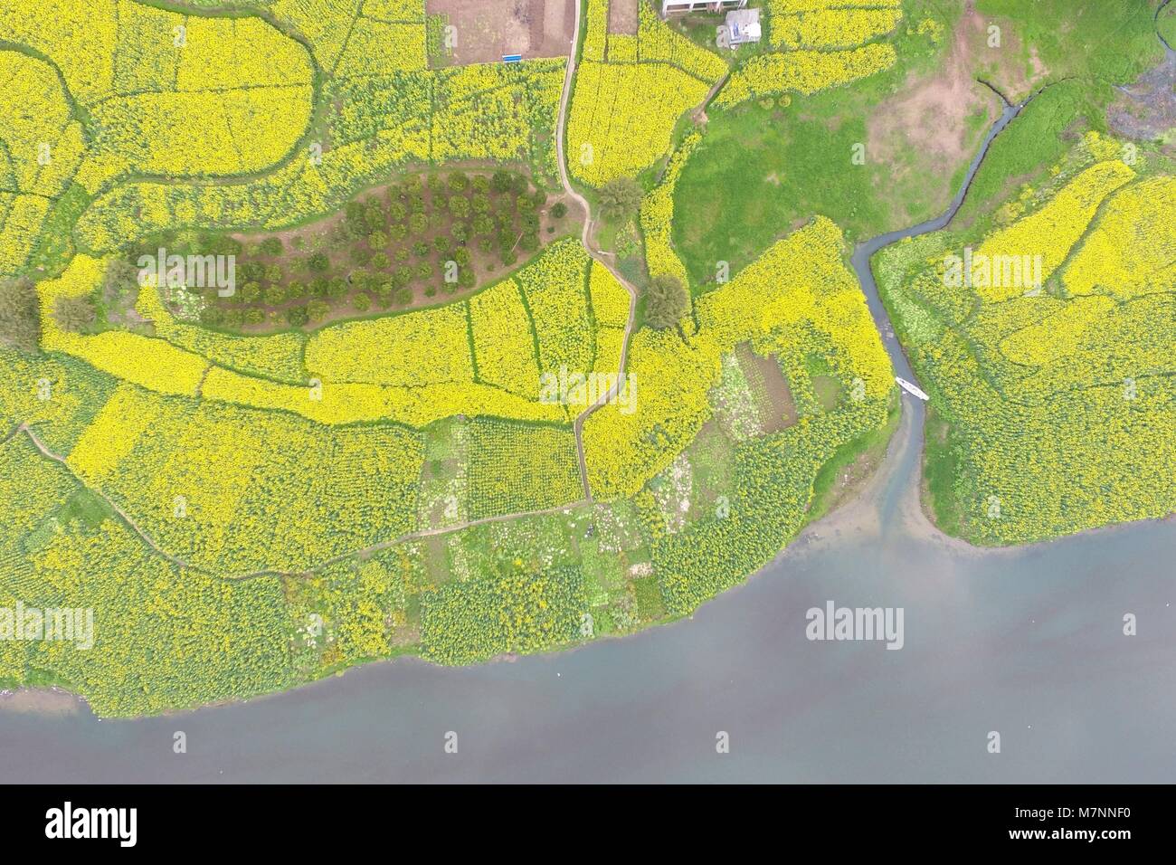 Xiangxi, Xiangxi, China. 12th Mar, 2018. Xiangxi, CHINA-12th March 2018 ...