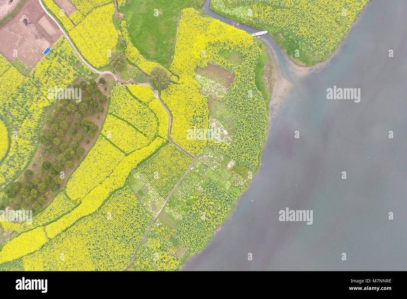 Xiangxi, Xiangxi, China. 12th Mar, 2018. Xiangxi, CHINA-12th March 2018 ...