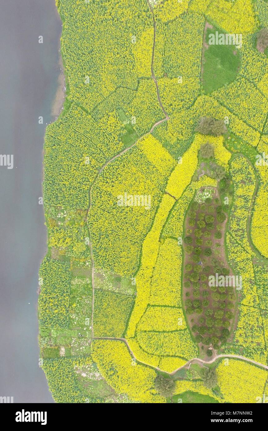 Xiangxi, Xiangxi, China. 12th Mar, 2018. Xiangxi, CHINA-12th March 2018 ...