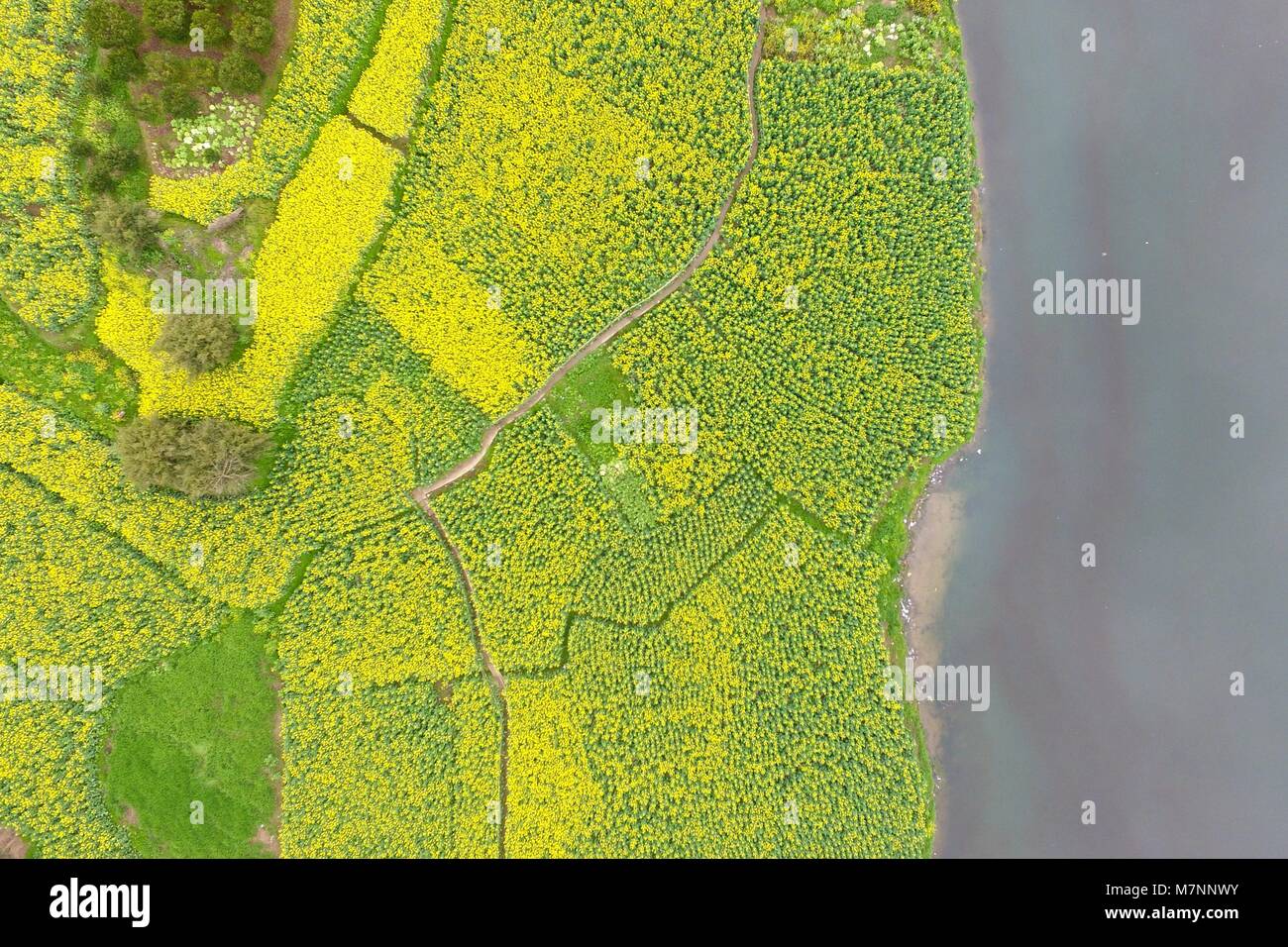 Xiangxi, Xiangxi, China. 12th Mar, 2018. Xiangxi, CHINA-12th March 2018 ...