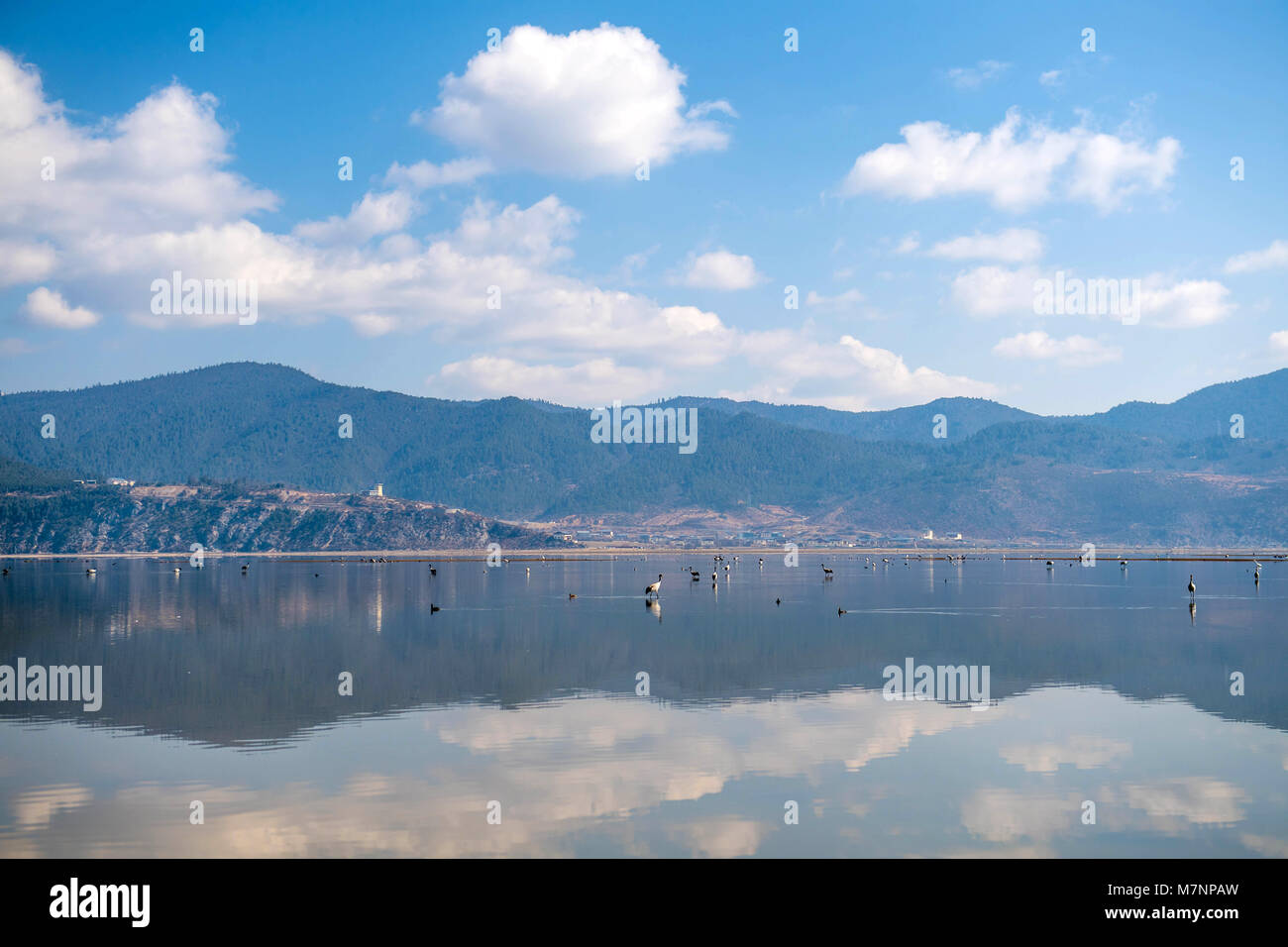 Diqing, Tibetan Autonomous Prefecture of Diqing in southwest China's ...