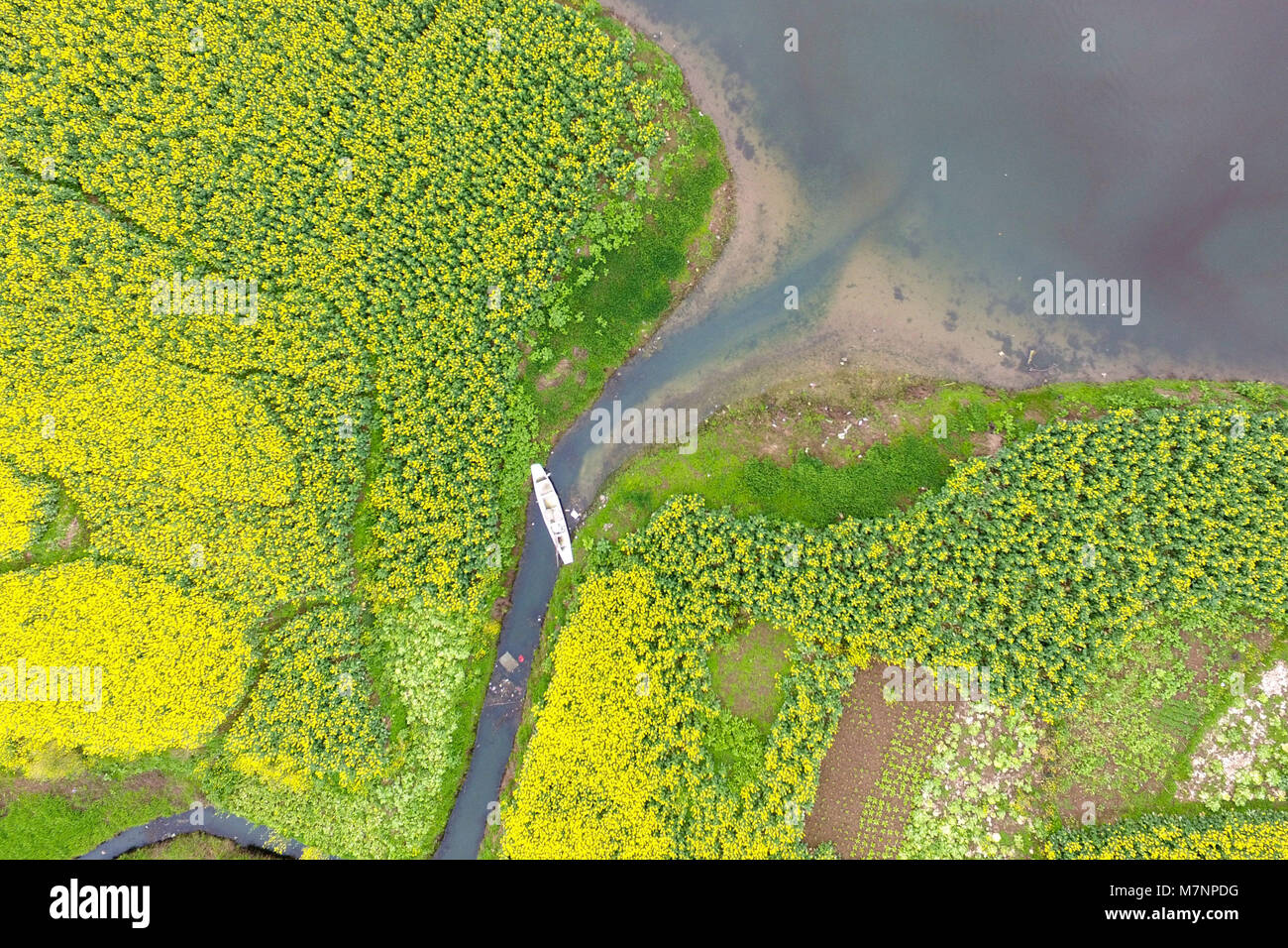 Xiangxi, Xiangxi, China. 12th Mar, 2018. Xiangxi, CHINA-12th March 2018 ...