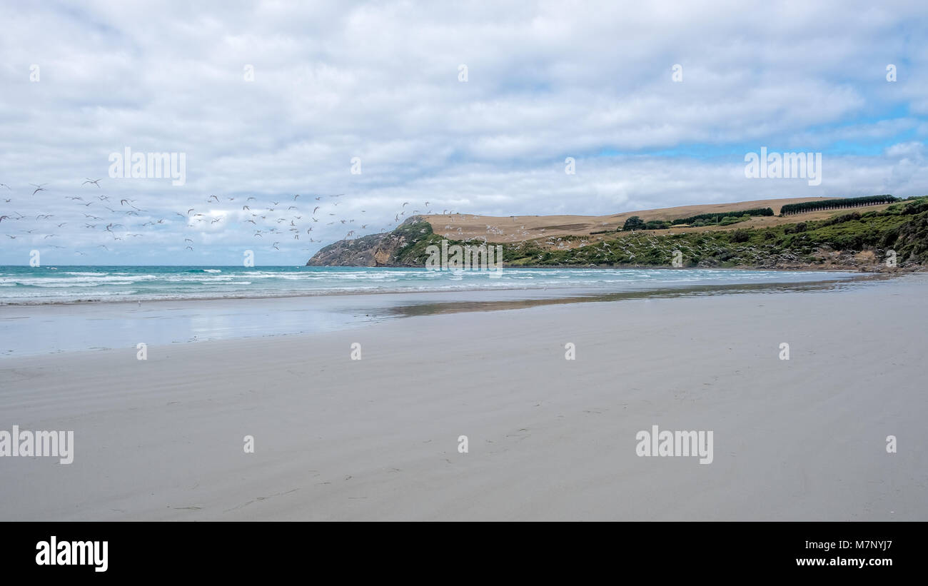 Bridgewater bay hi-res stock photography and images - Alamy