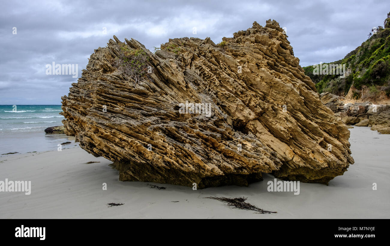 Beach Rock at Bridgewater near Portland, Victoria, Australia Stock ...