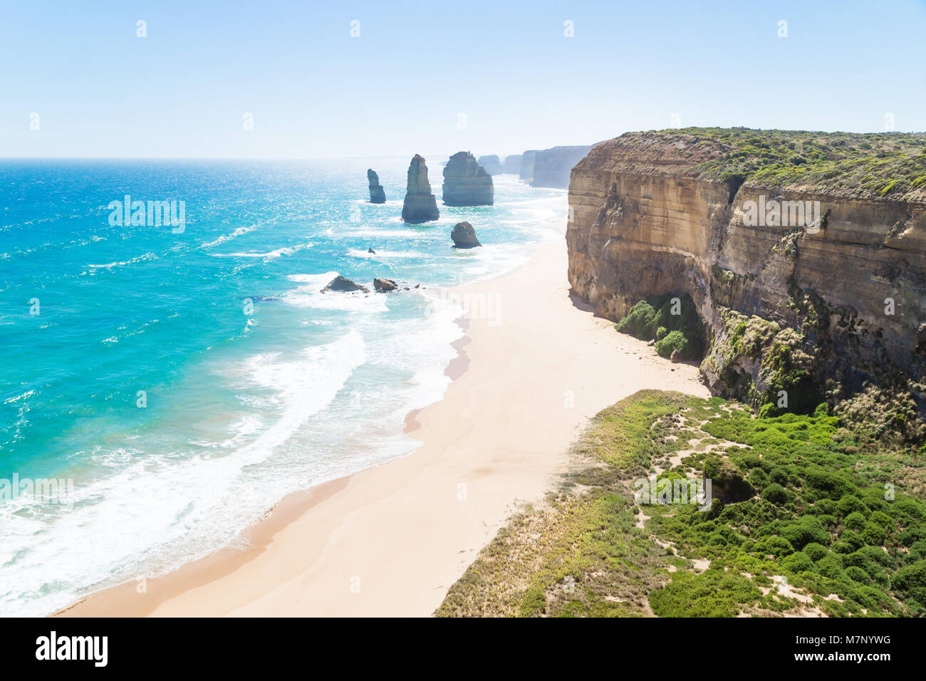 Twelve Apostels with beach and grass at the Great Ocean Road, Victoria ...