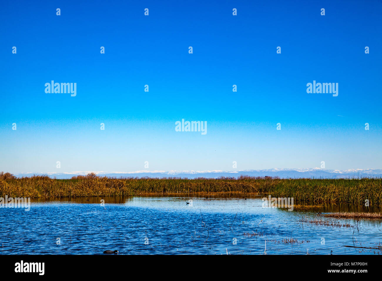 The Merced National Wildlife refuge with the snow capped Sierra Nevada ...