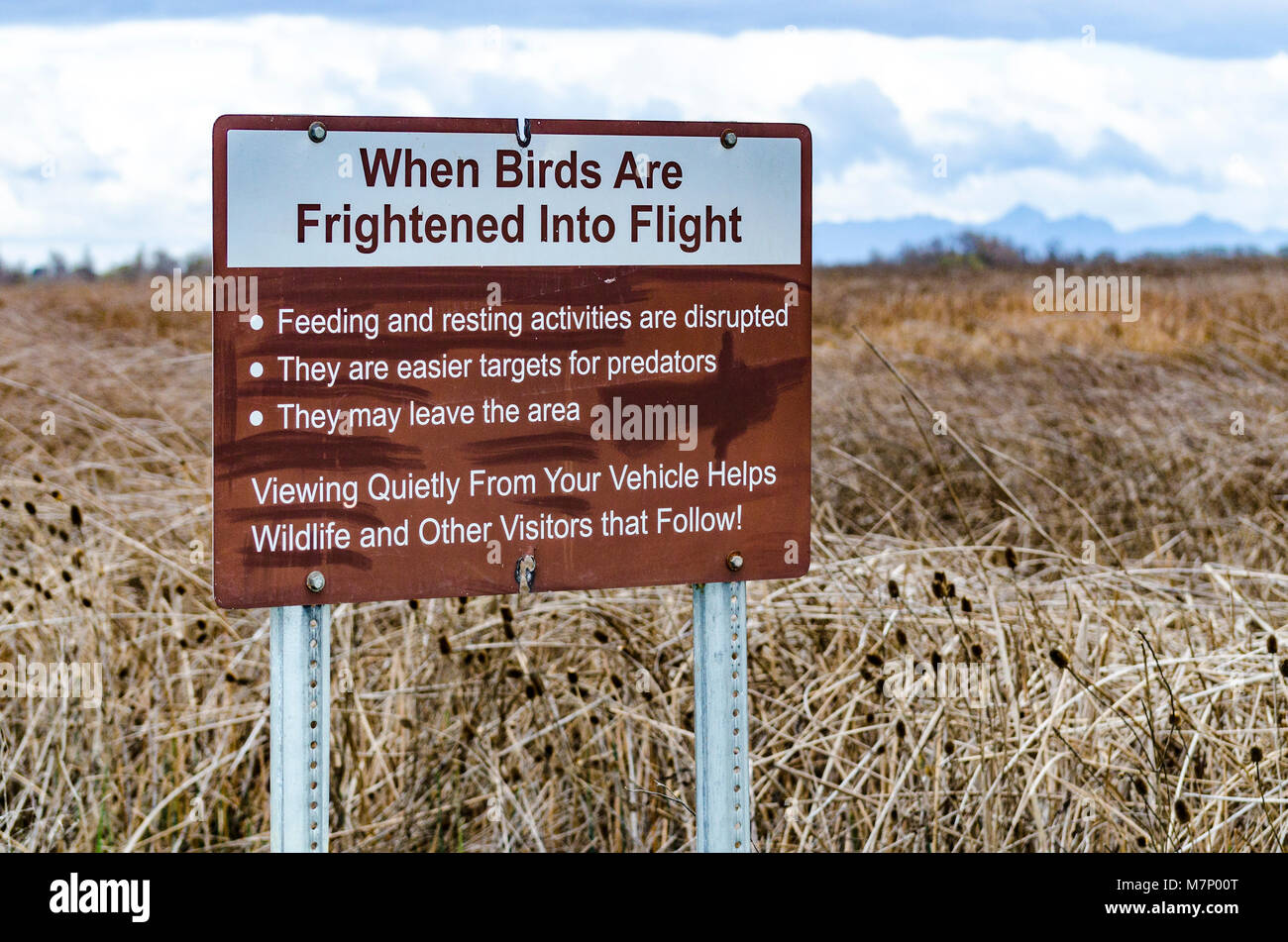 A warning sign regarding wildlife etiquette at the Sacramento National ...