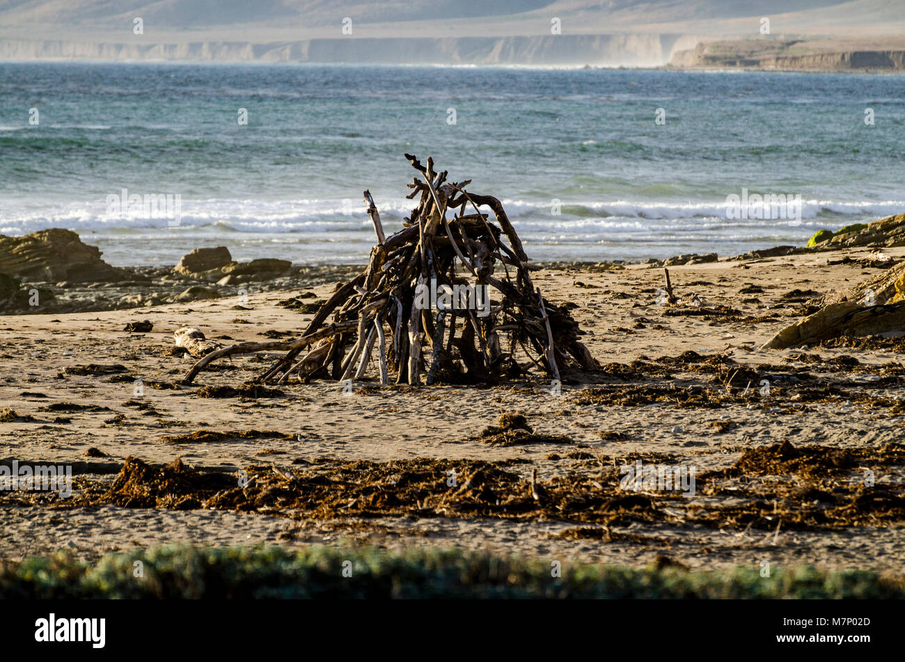 Driftwood piled at Jalama Beach in Santa Barbara county California ...