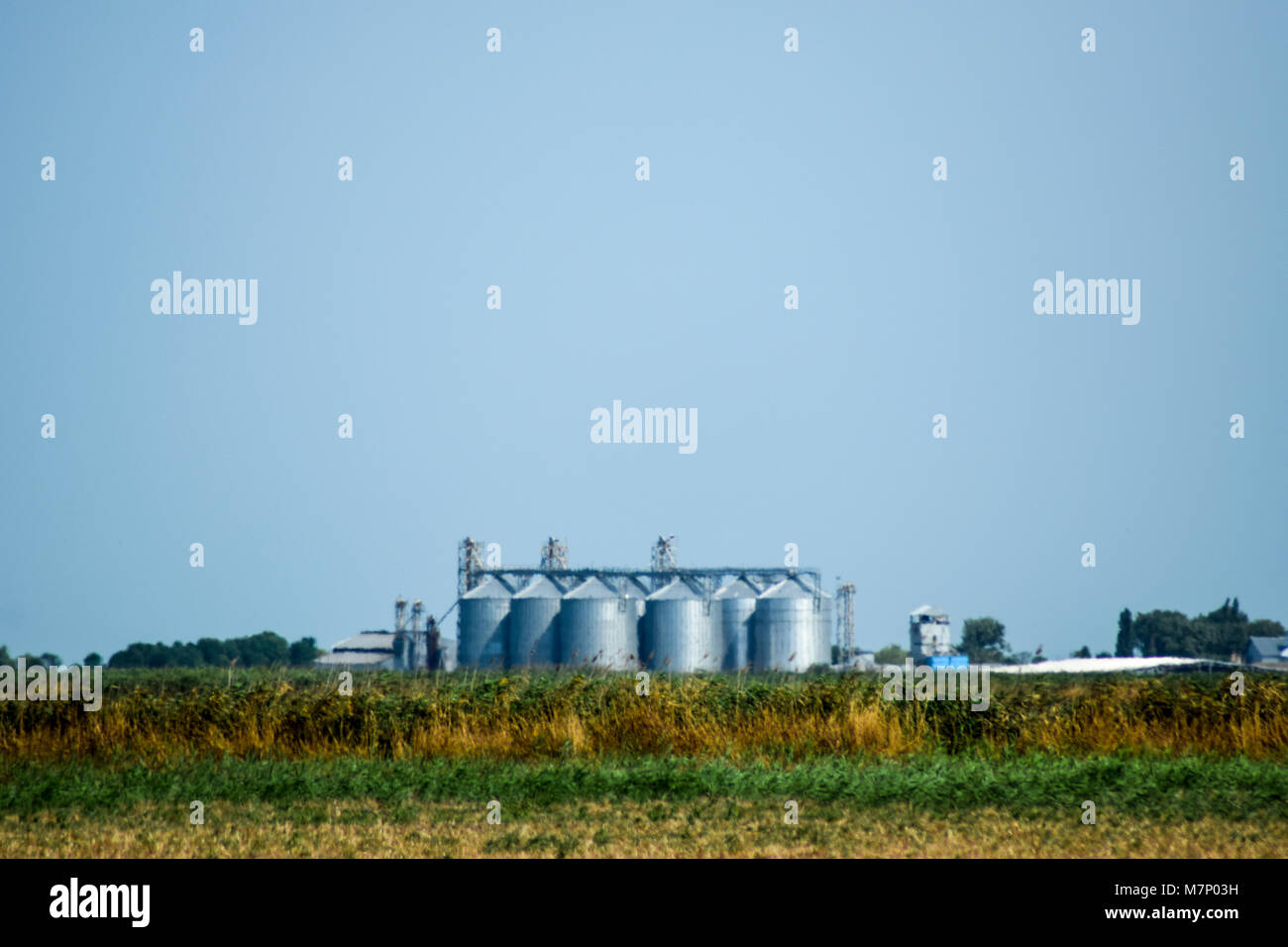Plant for the drying and storage of grain. Rice plant in the middle of ...
