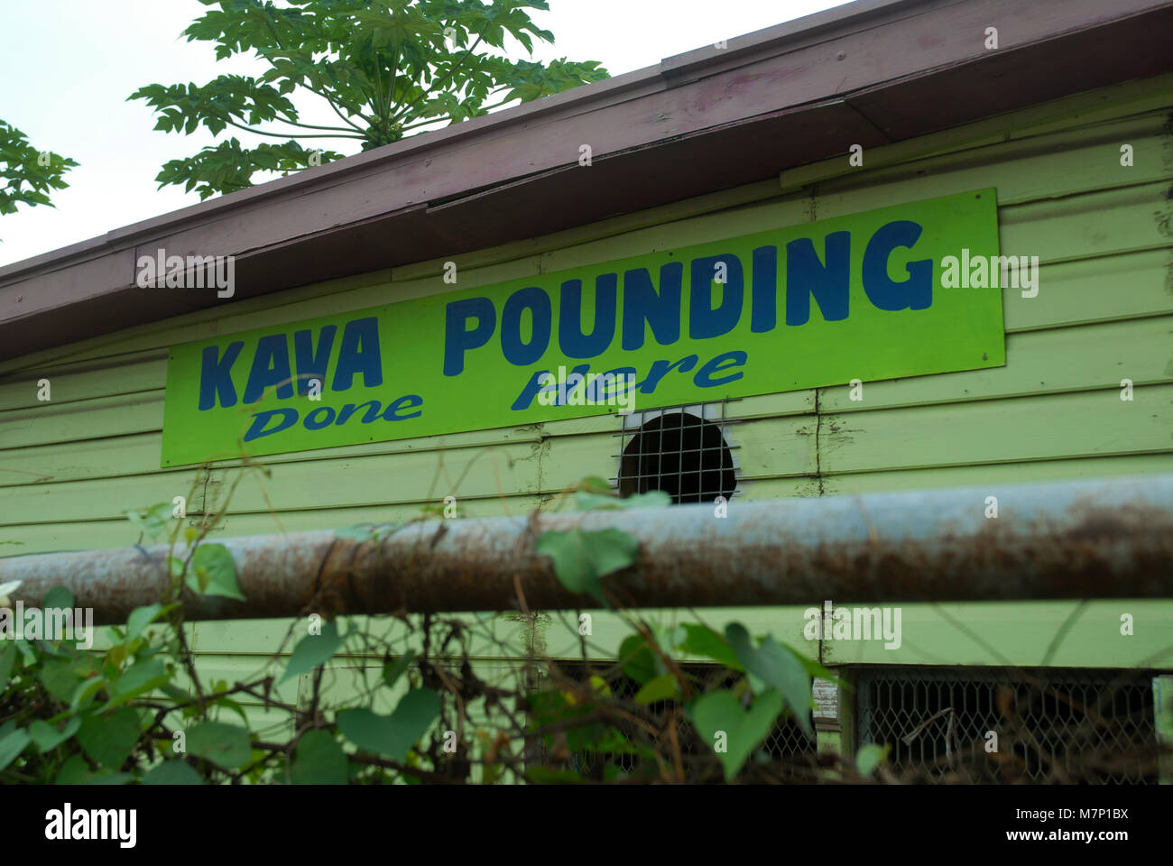 Kava pounding Factory, Lautoka, Fiji Stock Photo - Alamy
