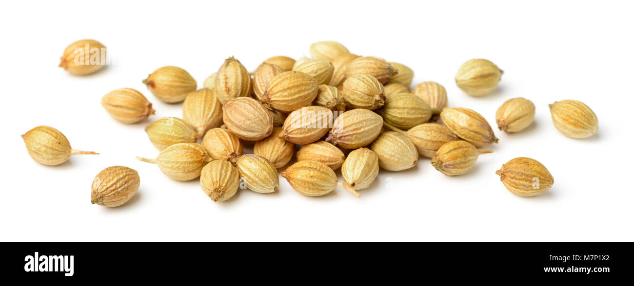 close up of dried coriander seeds isolated on white background Stock Photo - Alamy