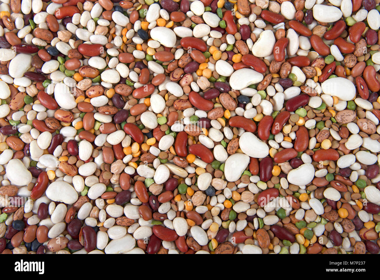 Lima bean varieties hi-res stock photography and images - Alamy