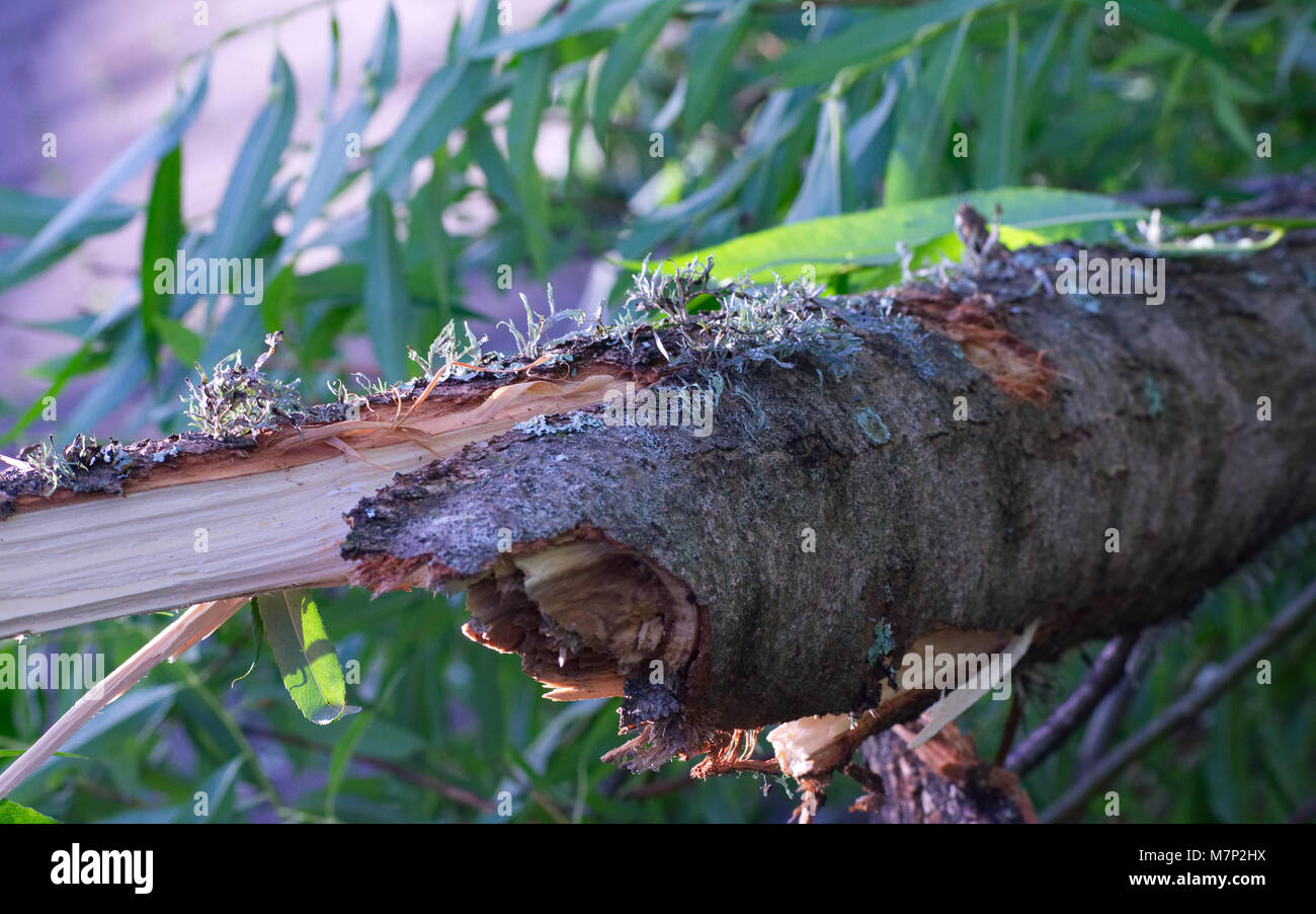 Calm inside the storm hi-res stock photography and images - Alamy