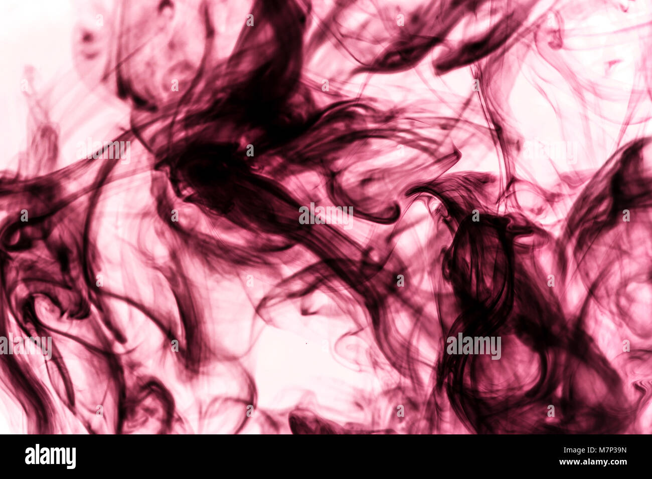 Dense multicolored smoke of burgundy colors on a white isolated ...