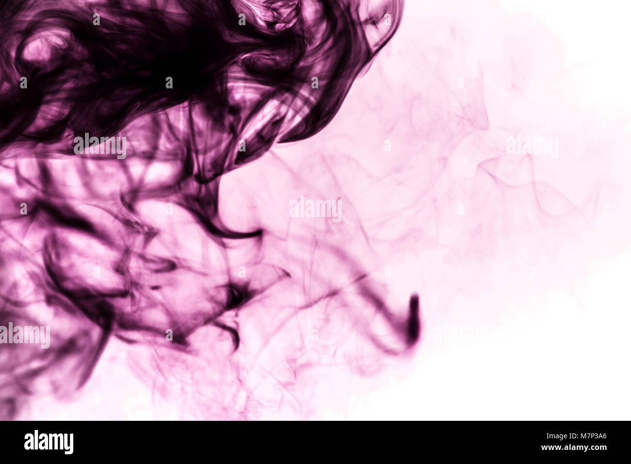 Dense multicolored smoke of burgundy colors on a white isolated ...