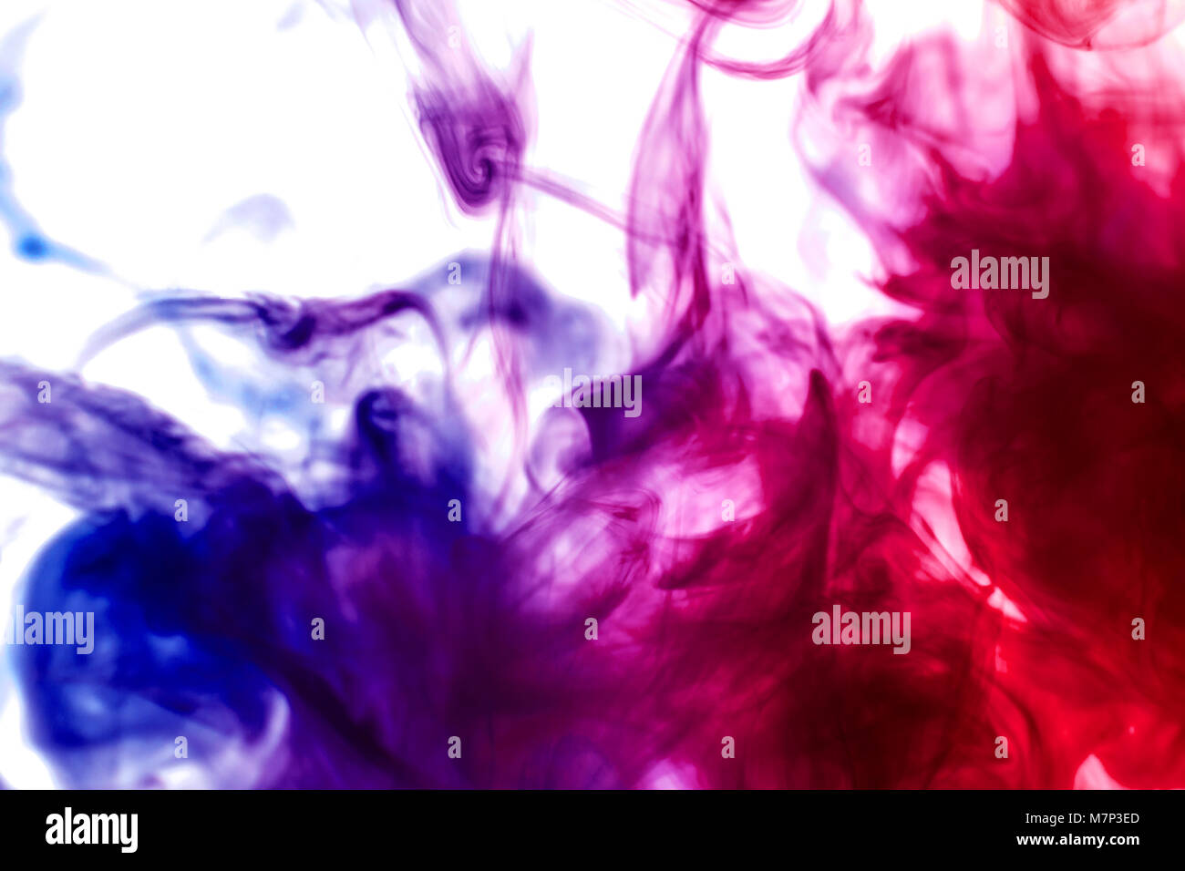 Dense multicolored smoke of blue and red colors on a white isolated ...