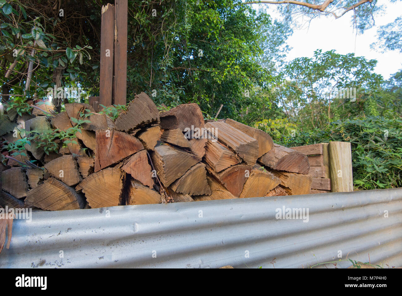 Drying timber hi-res stock photography and images - Alamy