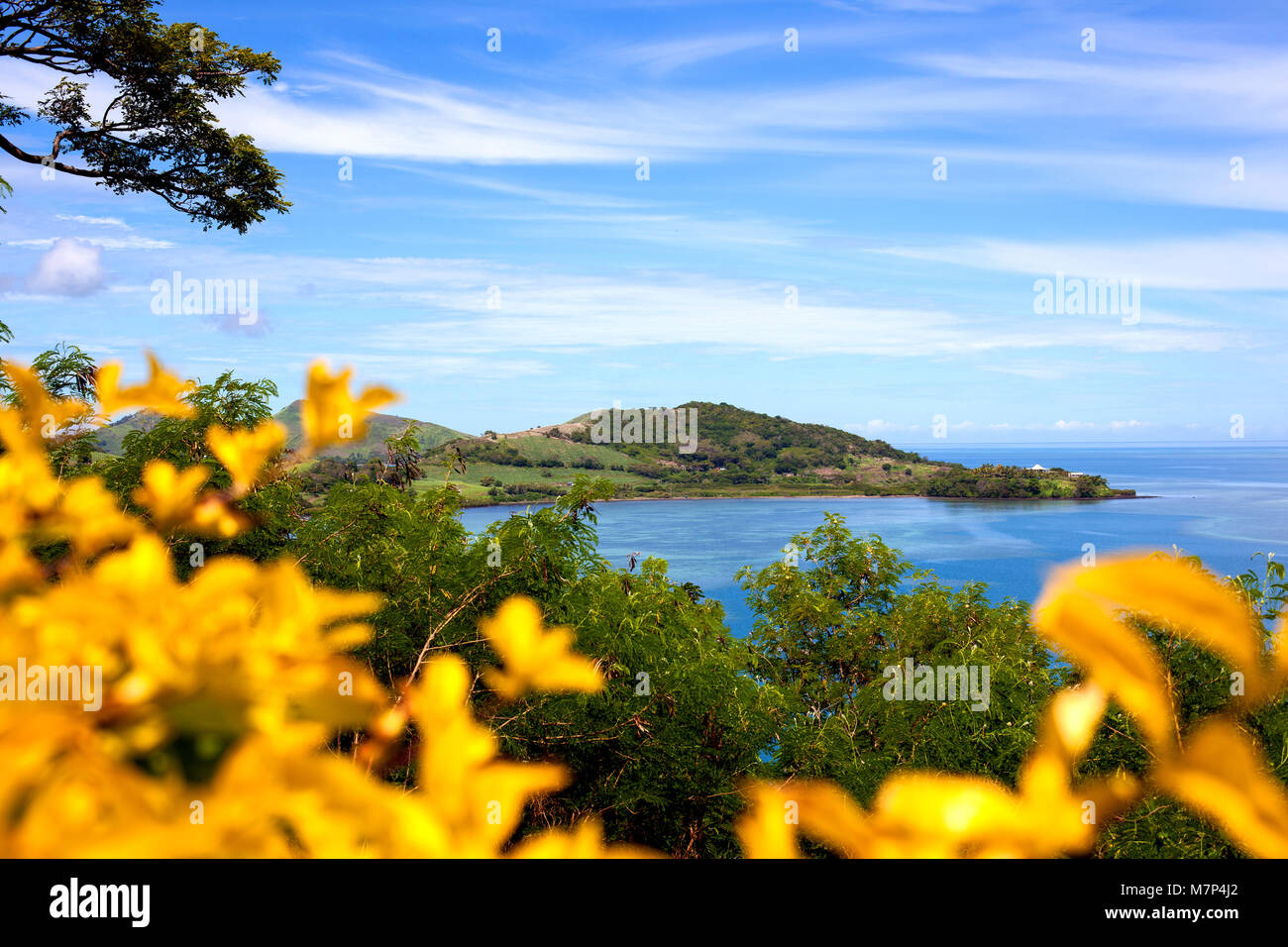 Beautiful landscape of Fiji island during high tide with yelow flowers ...