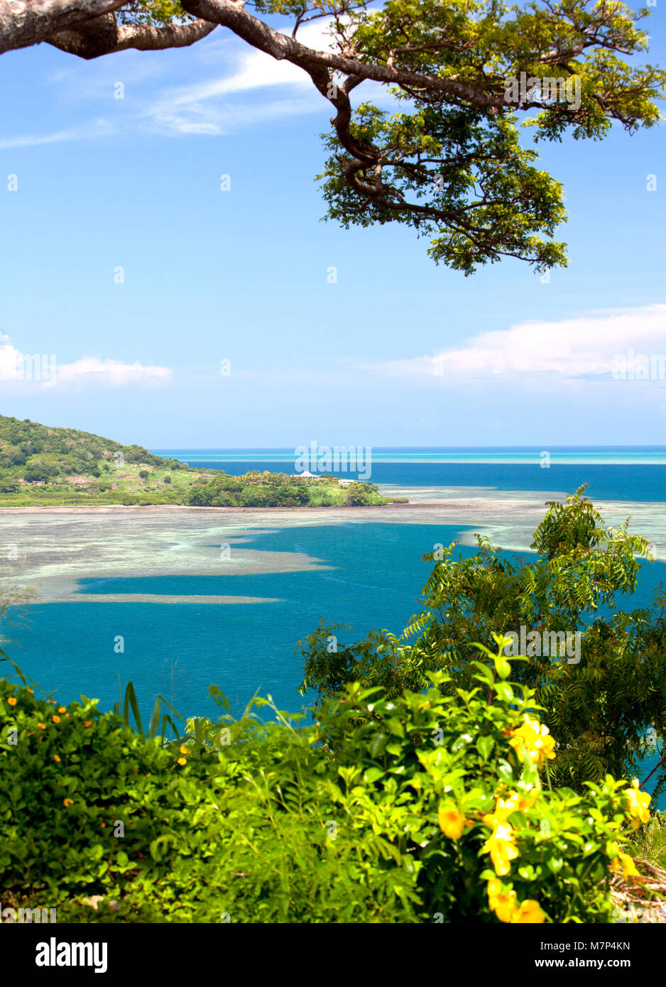 Beautiful landscape of Fiji island during low tide with yellow flowers ...