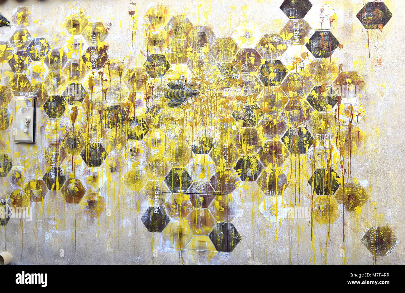 Sansperate hi-res stock photography and images - Alamy