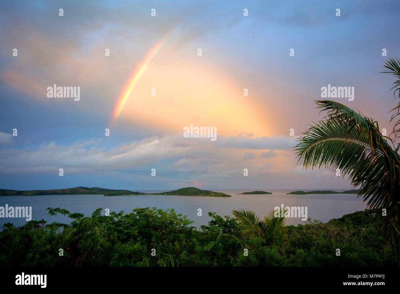Beautiful landscape of Fiji island during high tide with palm trees ...
