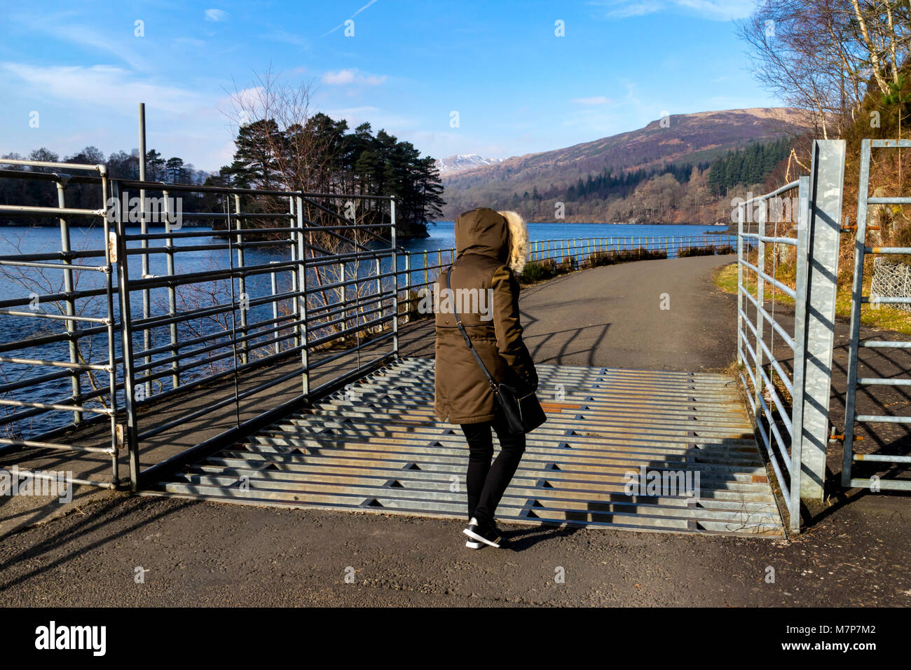 Woman about to cross a cattle (deer) grid in the road at Loch Katerine ...