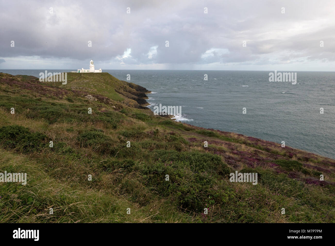 Strumble Head Pembrokeshire Stock Photo - Alamy