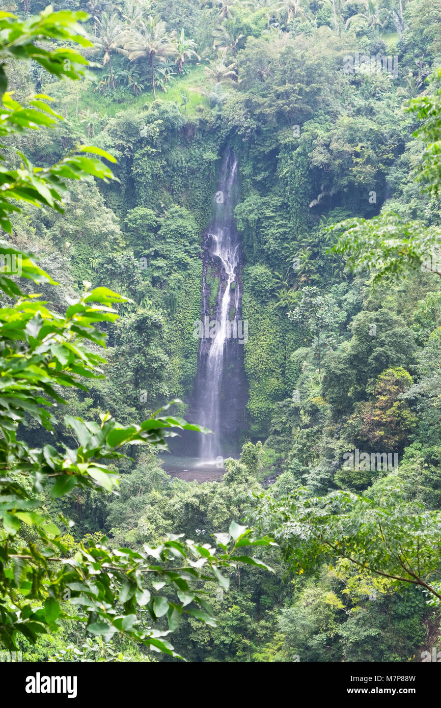 Beautiful Sekumpul Waterfall in Ubud Bali, Indonesia Stock Photo - Alamy