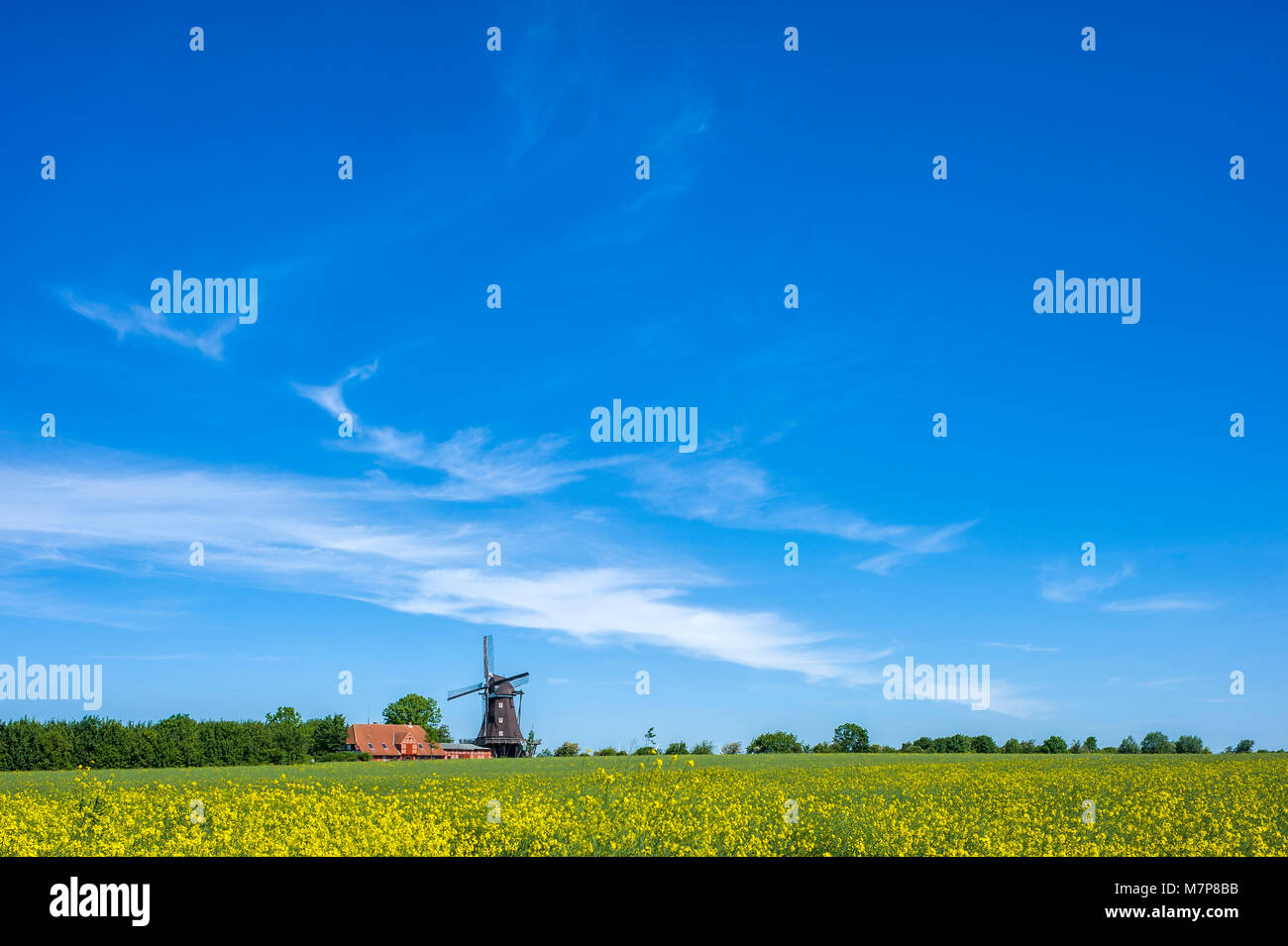 View toward the mills and agriculture museum in Lemkenhafen, Fehmarn ...
