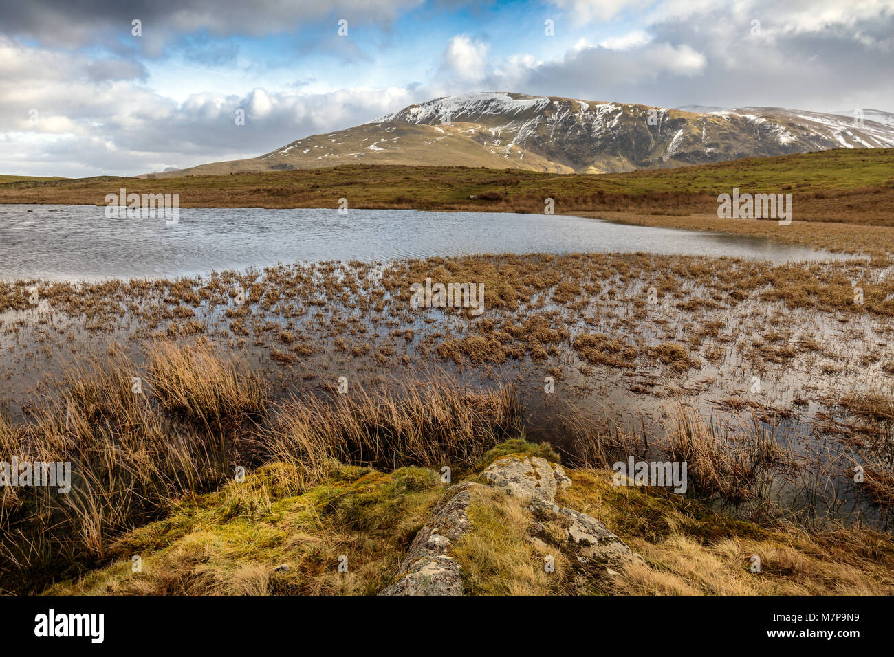 Tewet Tarn, Lake District, Cumbria Stock Photo - Alamy
