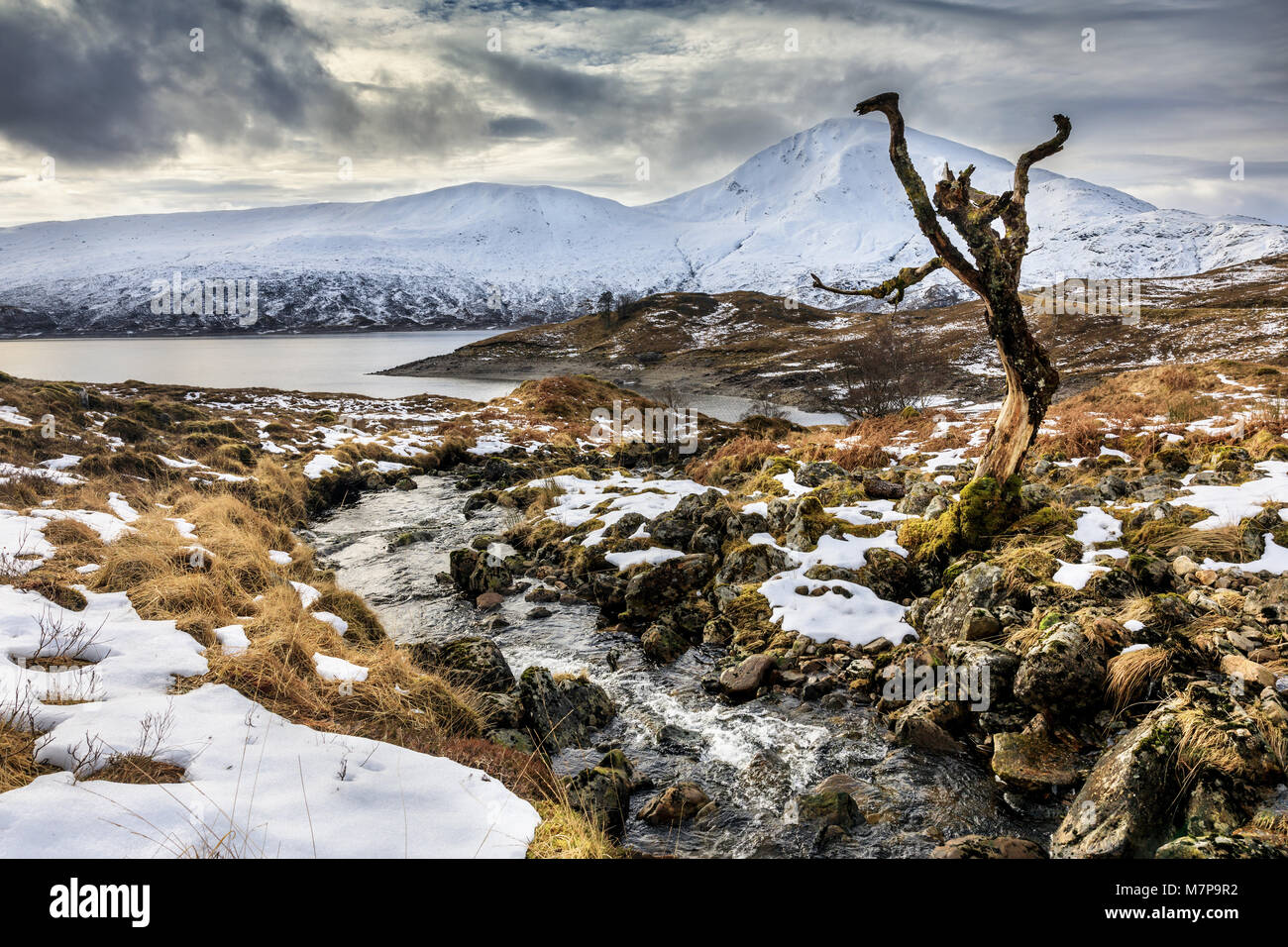 River flowing into Loch Quoich, Scottish Highlands, Scotland Stock ...