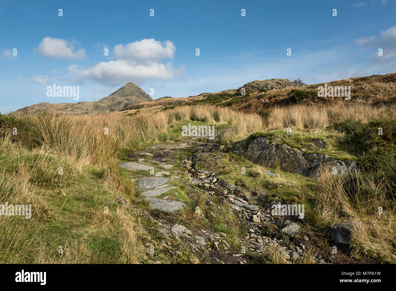Footpath to Cnicht near Croesor, Snowdonia national park, North Wales ...