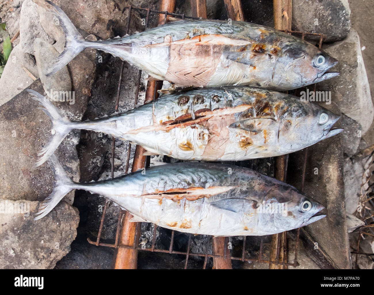 Delicious tuna fish barbecue in El Nido, Palawan, Philippines Stock ...
