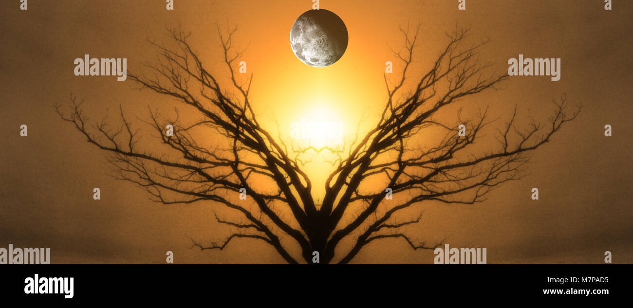 Mystic Tree of Life. Moon in The Sky. Sunset or Sunrise Stock Photo - Alamy