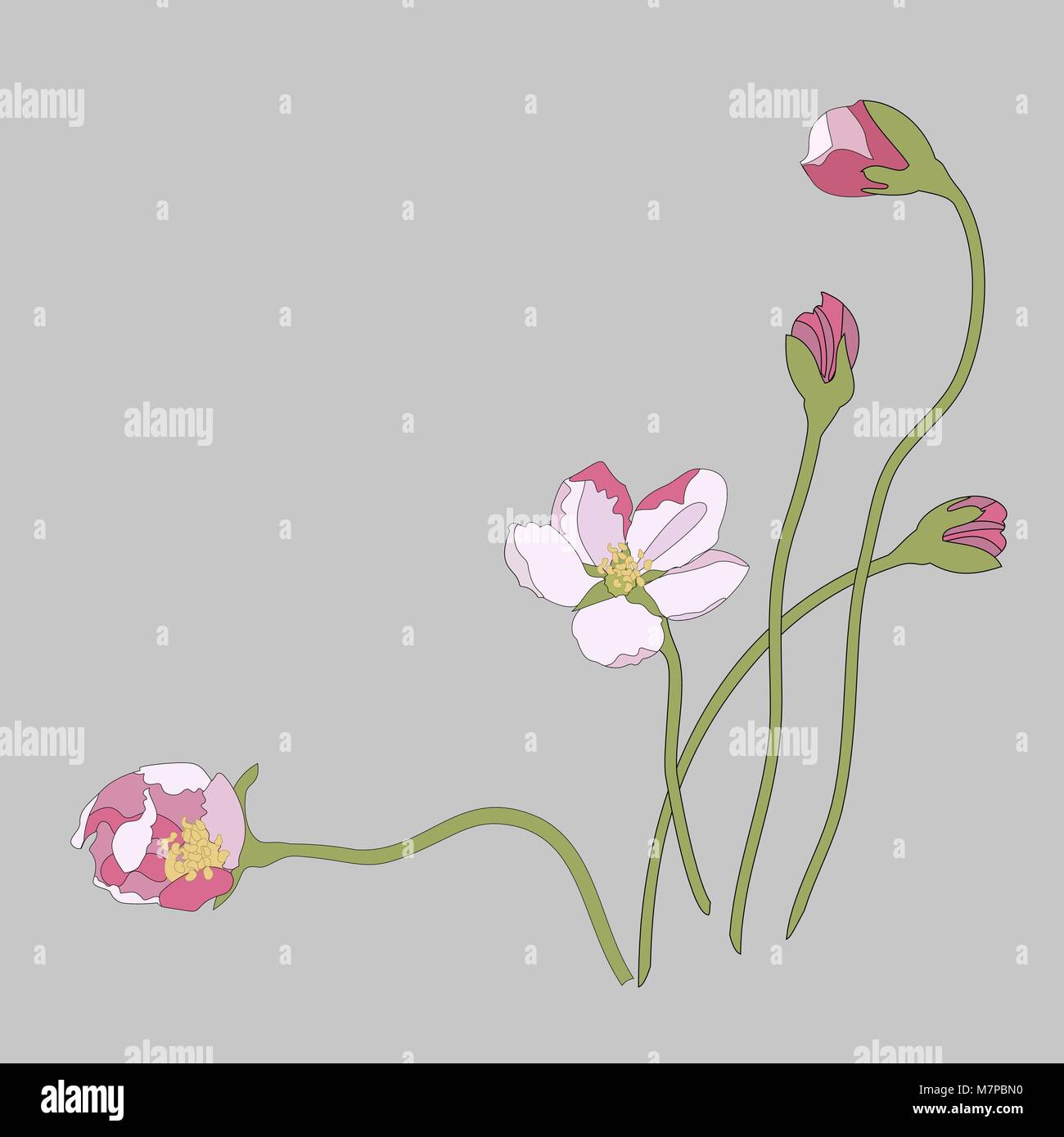 Cherry blossom in bright Stock Vector Images - Alamy