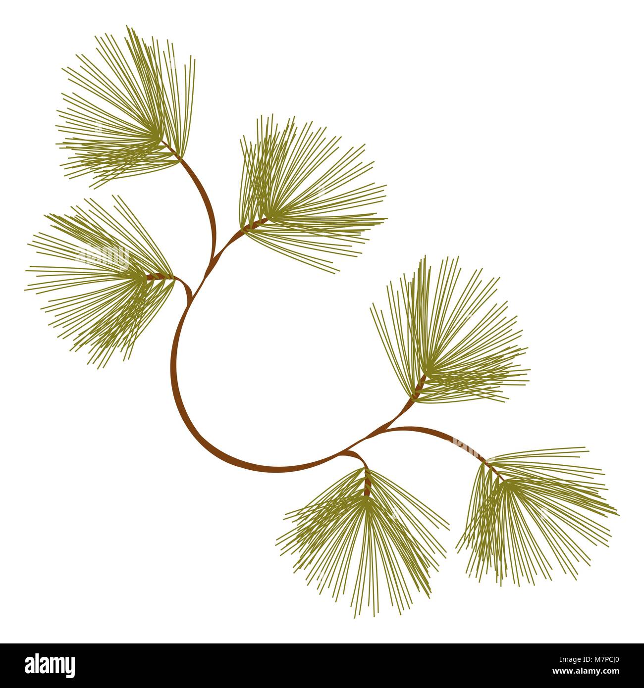 Pine green branch on background Stock Vector Images - Alamy