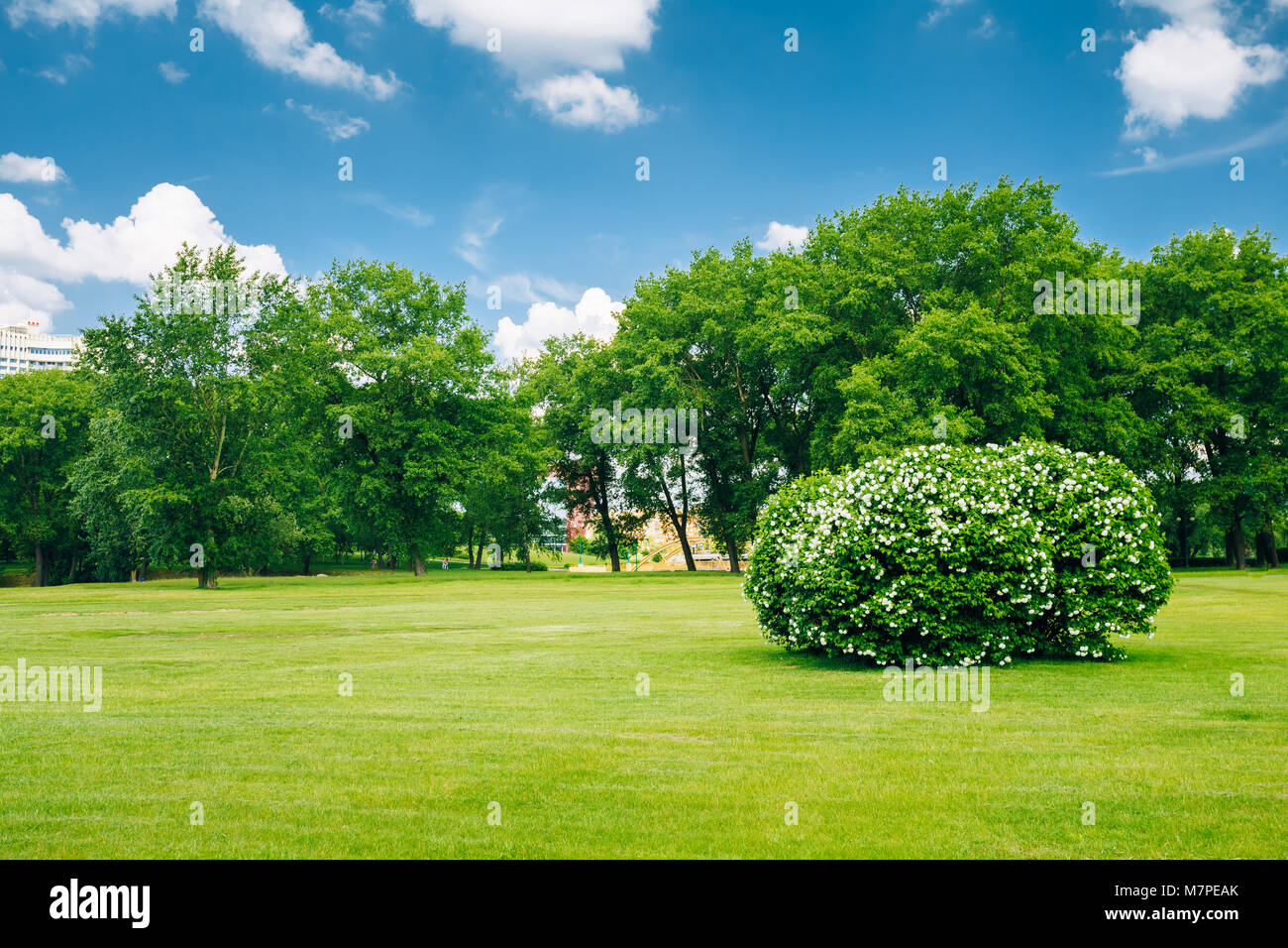 Lush landscape garden hi-res stock photography and images - Alamy